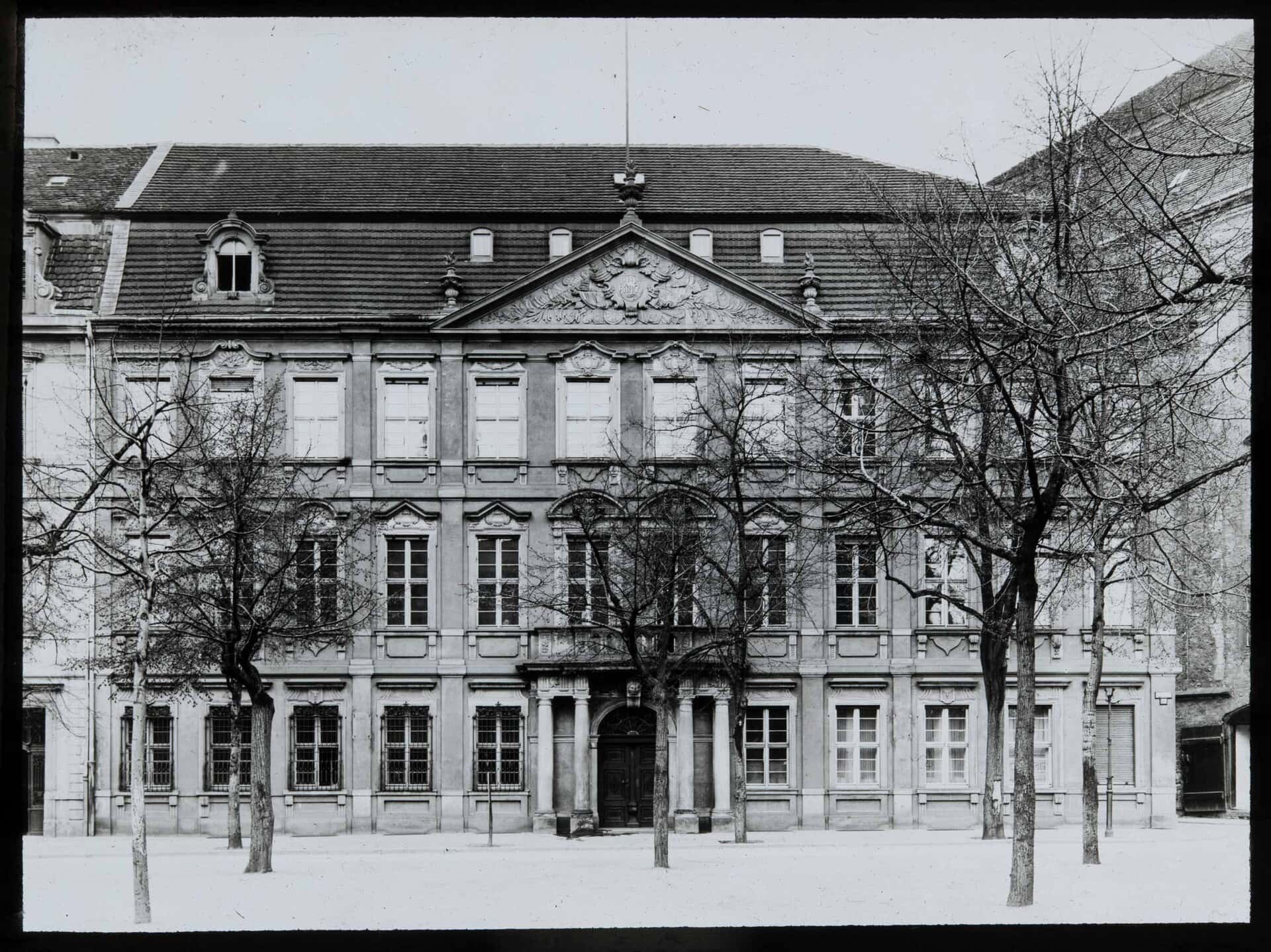 Team – Museum für Naturkunde Magdeburg